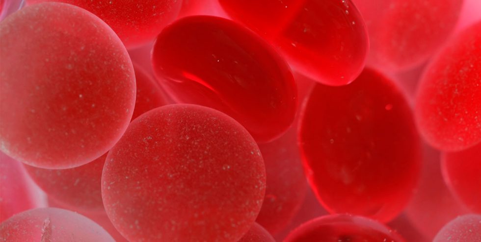 Doença Falciforme: entenda tudo sobre essa condição genética